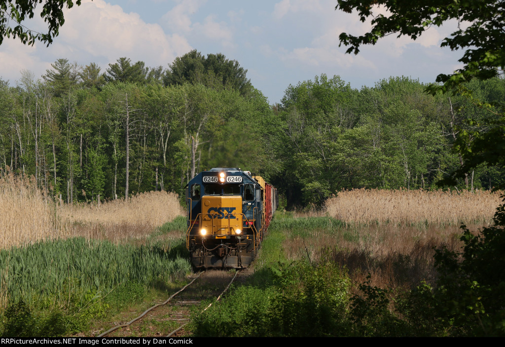 CSXT 6246 Leads L004 Through the Swamp in Sterling